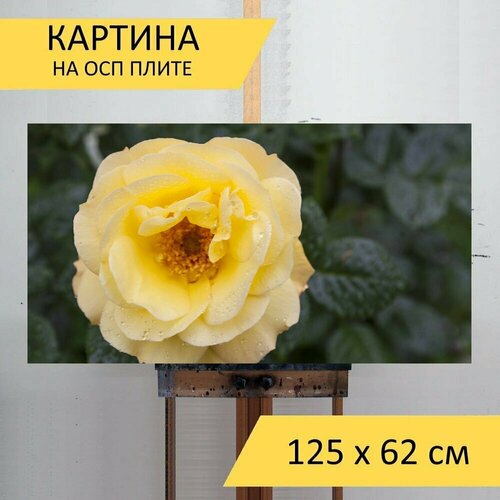 Картина на ОСП 125х62 см. "Желтый, роза, цветок" горизонтальная, для интерьера, с креплениями