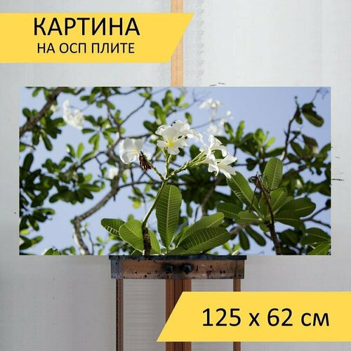 Картина на ОСП 125х62 см. "Фарфоровый цветок, природа, сад" горизонтальная, для интерьера, с креплениями