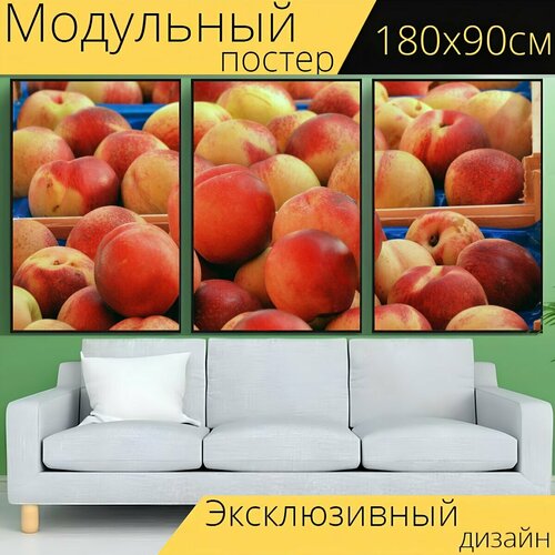 Модульный постер "Персики, фрукты, еда" 180 x 90 см. для интерьера