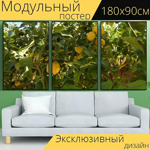 Модульный постер "Лимонное дерево, желтый, зеленый" 180 x 90 см. для интерьера