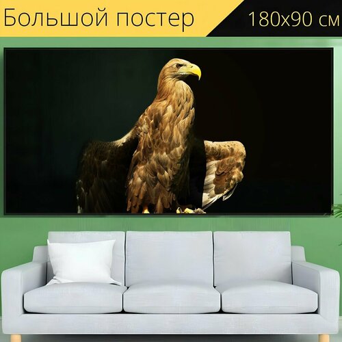 Большой постер "Орёл, орлан, птица" 180 x 90 см. для интерьера