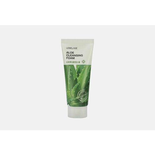 Пенка для умывания с экстрактом алоэ Lebelage, Aloe Cleansing Foam 100 мл