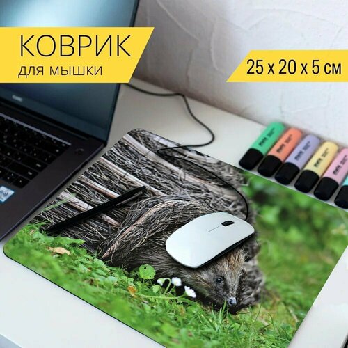 Коврик для мыши с принтом "Ежик, шпора, ханна" 25x20см.