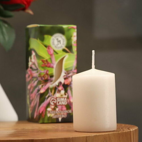 Свеча ароматическая "Сандаловое дерево", 4x6 см, в коробке