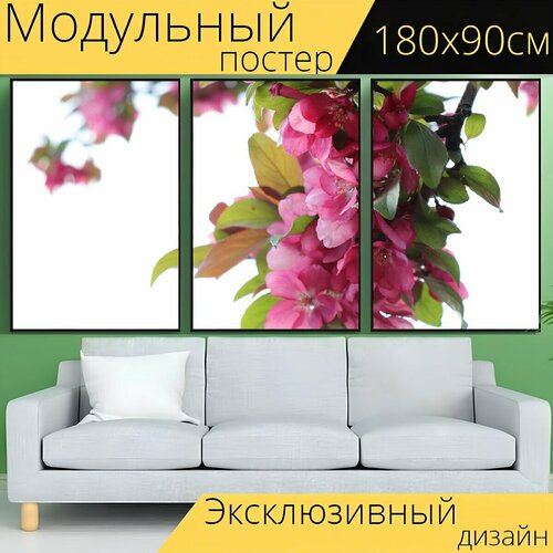 Модульный постер "Весна, блум, цветы" 180 x 90 см. для интерьера