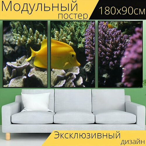 Модульный постер "Рыбы, тропический, желтый" 180 x 90 см. для интерьера