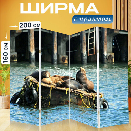 Ширма перегородка с принтом "Калифорния, морские львы, буй" на холсте - 200x160 см. для зонирования, раскладная