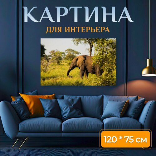 Картина на холсте "Слон, животное, африка" на подрамнике 120х75 см. для интерьера