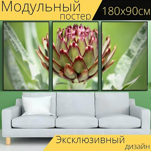 Модульный постер "Артишок, завод, овощное растение" 180 x 90 см. для интерьера