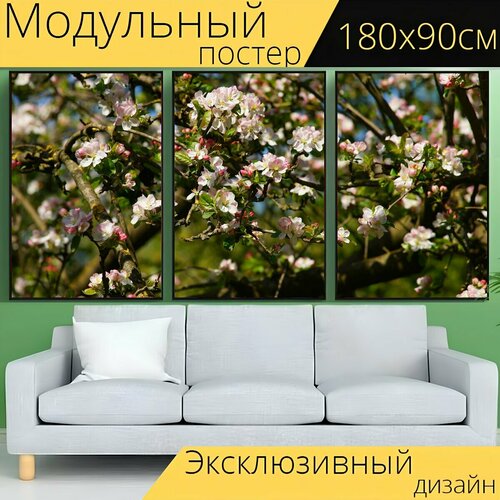 Модульный постер "Яблоня, цветение яблони, весна" 180 x 90 см. для интерьера