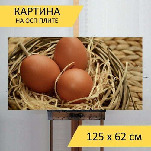 Картина на ОСП 125х62 см. "Яйца, коричневые яйца, естественно" горизонтальная, для интерьера, с креплениями