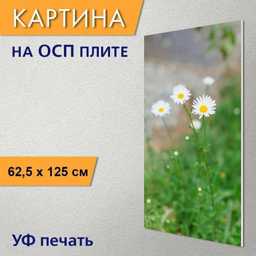 Вертикальная картина на ОСП "Маргаритка, полевые цветы, флора" 62x125 см. для интерьериа