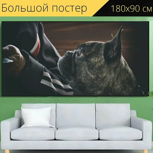 Большой постер "Собака, бульдог, эмоция" 180 x 90 см. для интерьера