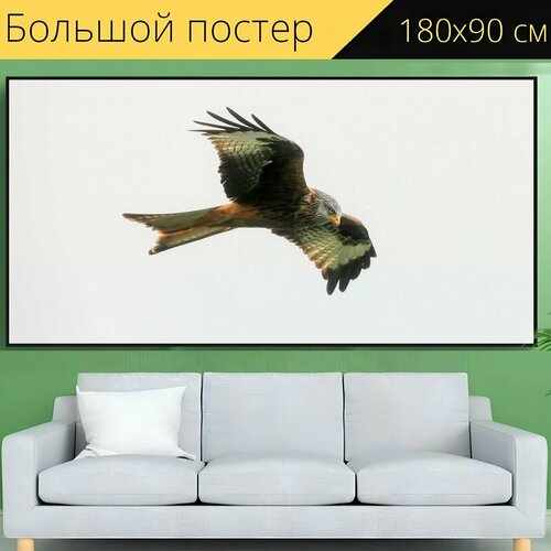 Большой постер "Ястреб, птица, хищник" 180 x 90 см. для интерьера