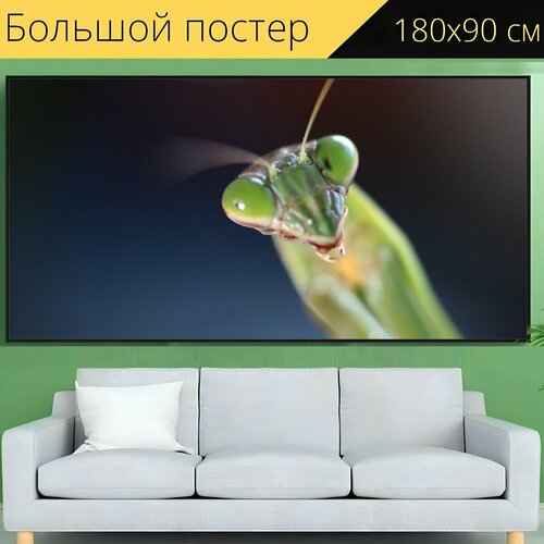 Большой постер "Богомол, насекомое, лето" 180 x 90 см. для интерьера