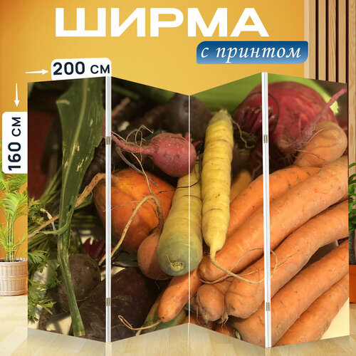 Ширма перегородка с принтом "Морковь, свекла, овощи" на холсте - 200x160 см. для зонирования, раскладная