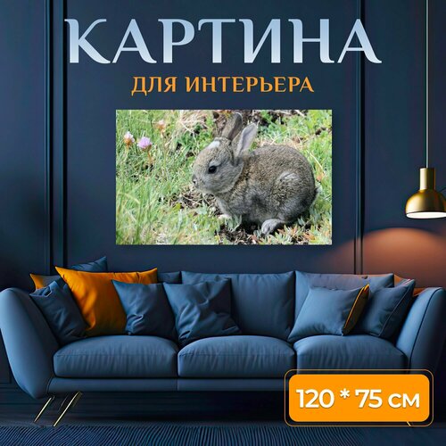 Картина на холсте "Кролик, заяц, пушистый зверек" на подрамнике 120х75 см. для интерьера