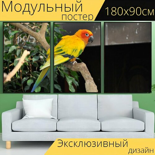 Модульный постер "Птица, животное, тропический" 180 x 90 см. для интерьера