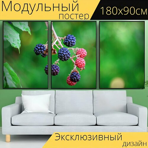 Модульный постер "Ежевика, ягоды, фрукты" 180 x 90 см. для интерьера