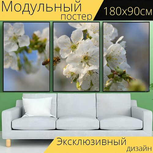 Модульный постер "Весна, белый, цветок" 180 x 90 см. для интерьера