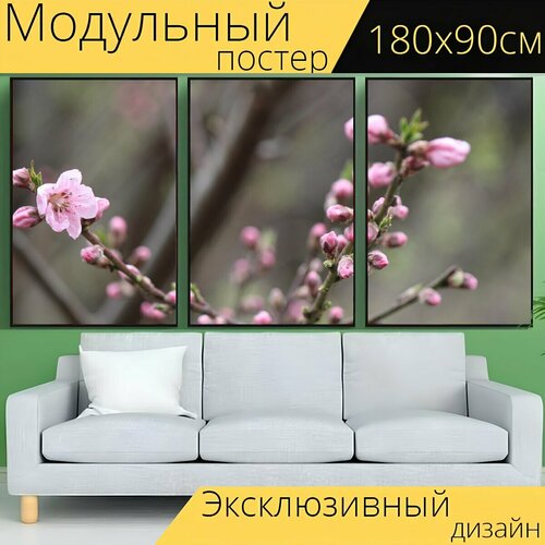 Модульный постер "Цветение вишни, весна, розовый" 180 x 90 см. для интерьера