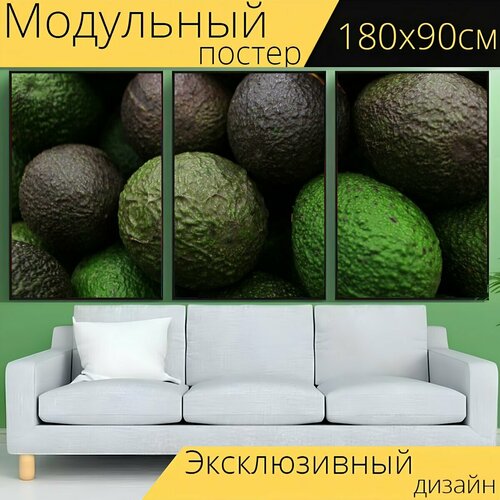 Модульный постер "Авокадо, авокадо, фон" 180 x 90 см. для интерьера