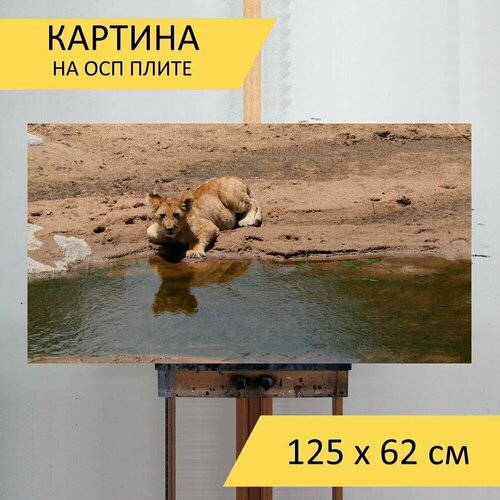 Картина на ОСП 125х62 см. "Лев, кошачий, детеныш" горизонтальная, для интерьера, с креплениями