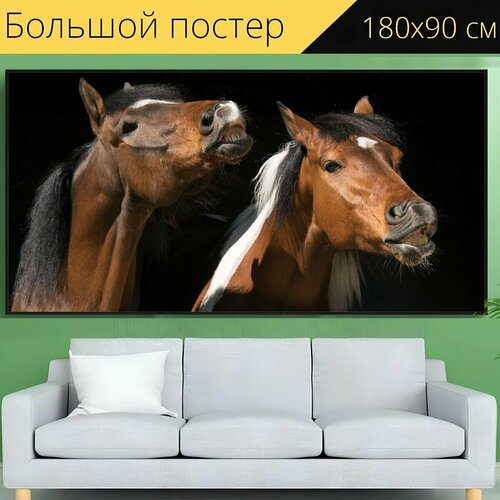 Большой постер "Лошади, животное, чек об оплате" 180 x 90 см. для интерьера