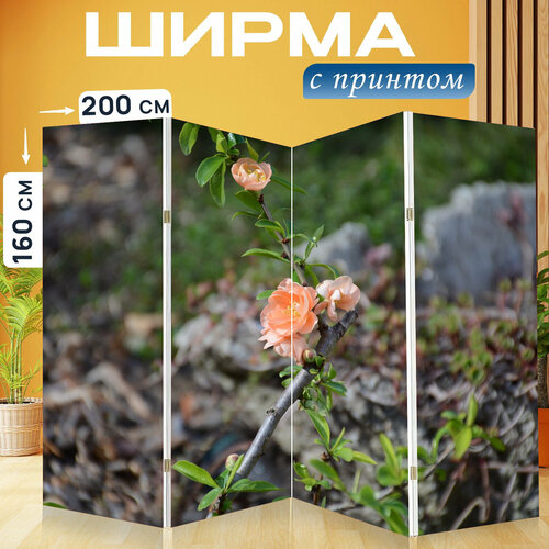 Ширма перегородка с принтом "Куст, цвести, растения" на холсте - 200x160 см. для зонирования, раскладная