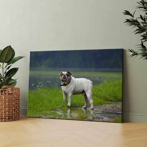 Картина на холсте (Маленькая собака стоит на траве) 30x40 см. Интерьерная, на стену.