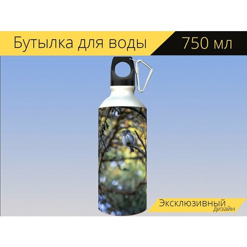 Бутылка фляга для воды "Воробьиного passerinum, евразийская карликовая сова, сова" 750 мл. с карабином и принтом