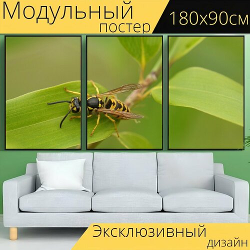 Модульный постер "Оса, насекомое, макрос" 180 x 90 см. для интерьера