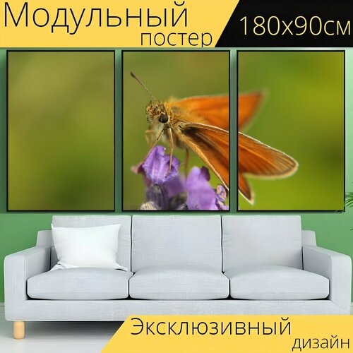 Модульный постер "Бабочка, весна, насекомое" 180 x 90 см. для интерьера