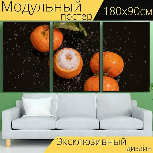 Модульный постер "Апельсин, фрукты, еда" 180 x 90 см. для интерьера