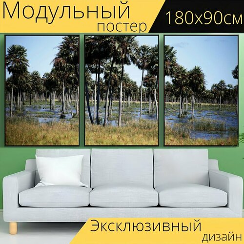 Модульный постер "Пальмовые саванны, наводнение, чако" 180 x 90 см. для интерьера