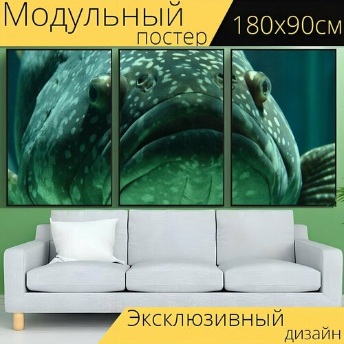 Модульный постер "Рыба, аквариум, косяк рыбы" 180 x 90 см. для интерьера