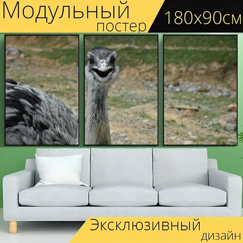 Модульный постер "Страус, животное, птица" 180 x 90 см. для интерьера