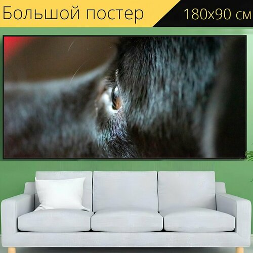 Большой постер "Собака, глаз, щенок" 180 x 90 см. для интерьера