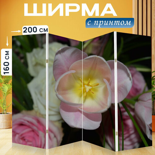 Ширма перегородка с принтом "Цвести, тюльпаны, весна" на холсте - 200x160 см. для зонирования, раскладная