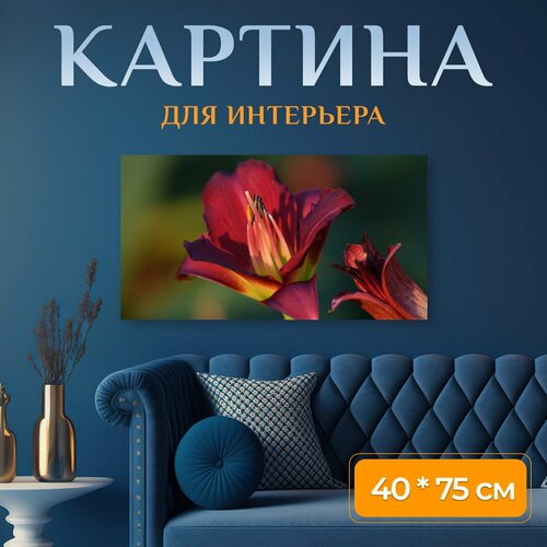 Картина на холсте "Лилейник, цветок, тычинка" на подрамнике 75х40 см. для интерьера