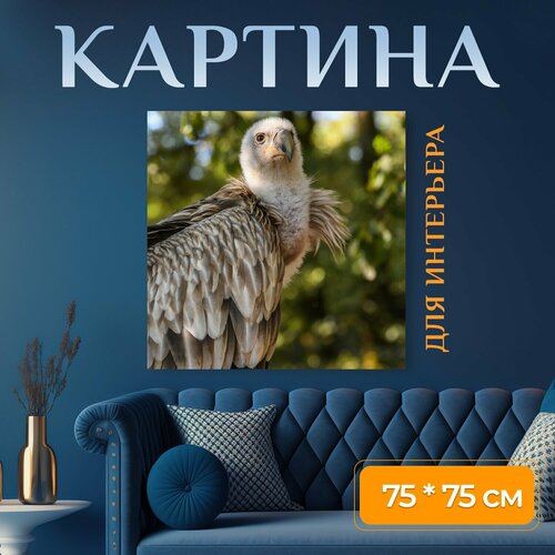 Картина на холсте "Гриф, дикий кот, ящер" на подрамнике 75х75 см. для интерьера