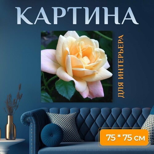 Картина на холсте "Роза, цвести, сад" на подрамнике 75х75 см. для интерьера