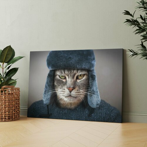 Картина на холсте "Кот с капюшоном на голове" 40x60 см. Интерьерная, на стену.