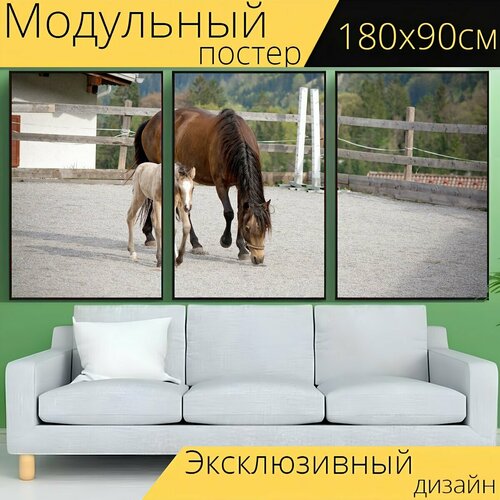Модульный постер "Лошадь, пони, жеребенок" 180 x 90 см. для интерьера