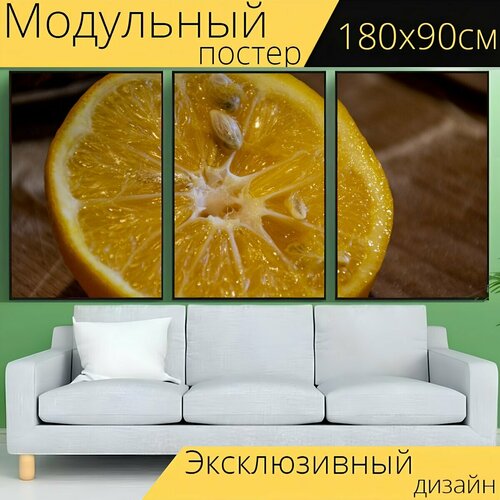 Модульный постер "Фрукты, здоровье, апельсин" 180 x 90 см. для интерьера
