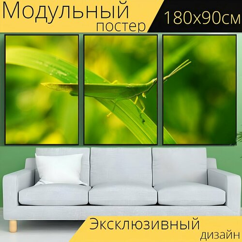 Модульный постер "Трава саранчи, локуст, грин" 180 x 90 см. для интерьера