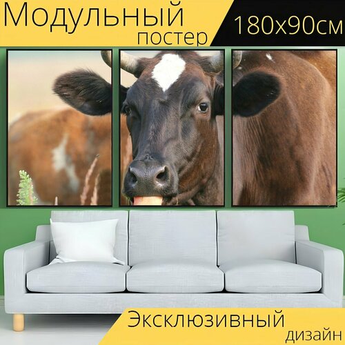 Модульный постер "Корова, язык, дразнить" 180 x 90 см. для интерьера