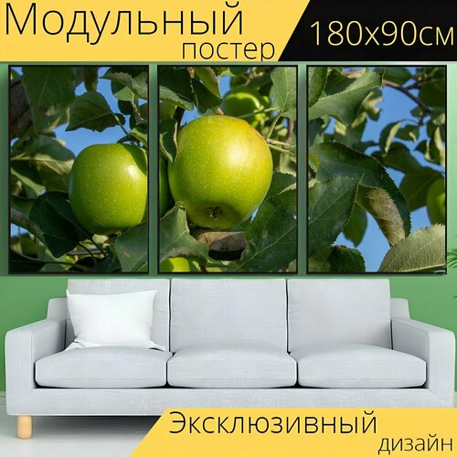 Модульный постер "Зеленое яблоко, бабушка смит, яблоневая ветка" 180 x 90 см. для интерьера