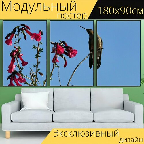 Модульный постер "Птицы, колибри, красочные" 180 x 90 см. для интерьера