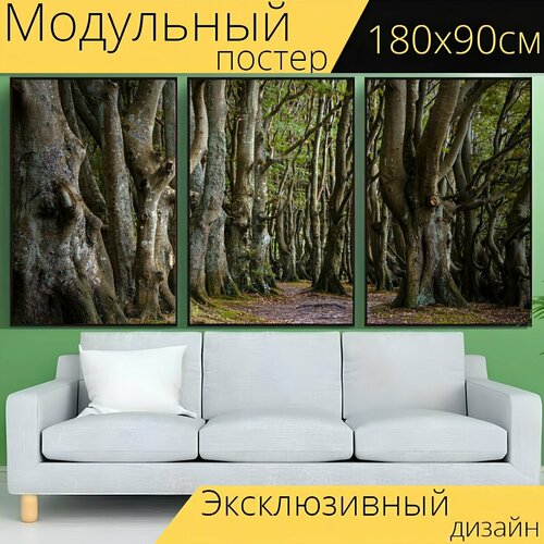 Модульный постер "Деревья, лес, подлесок" 180 x 90 см. для интерьера
